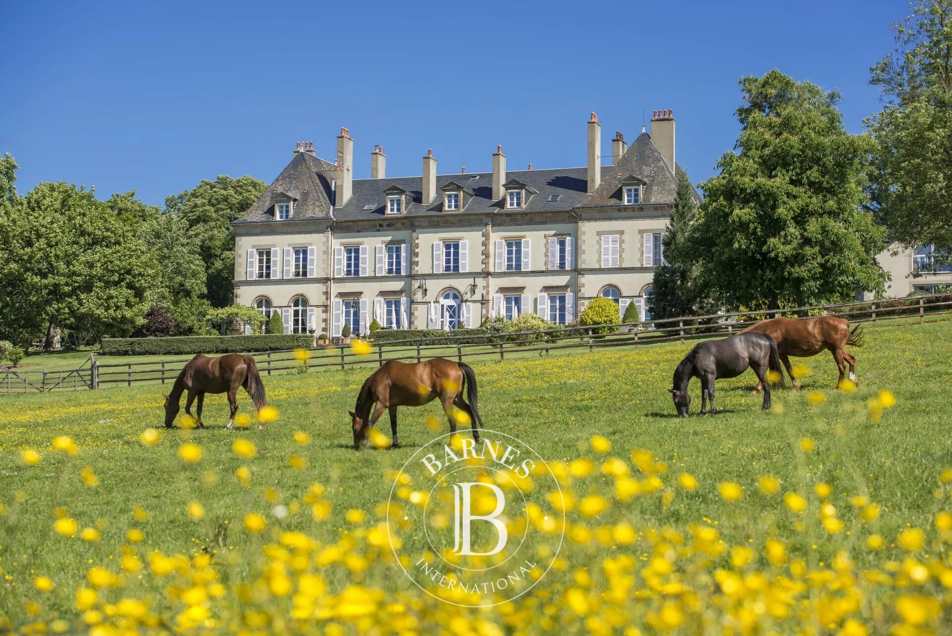 For Sale, Equestrian estate Ygrande 19 Bedrooms - 1 500 m² - € 2,650,000